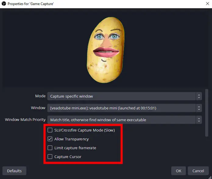 Veadotube Free PNGTuber Avatar Software How To - Tutorial (+OBS ...